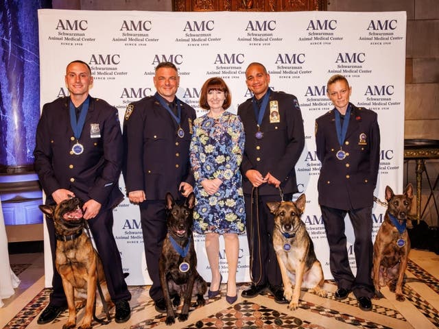 Annual NYC Top Dog Gala Honors NYPD K9 Unit Members, Handlers | New ...