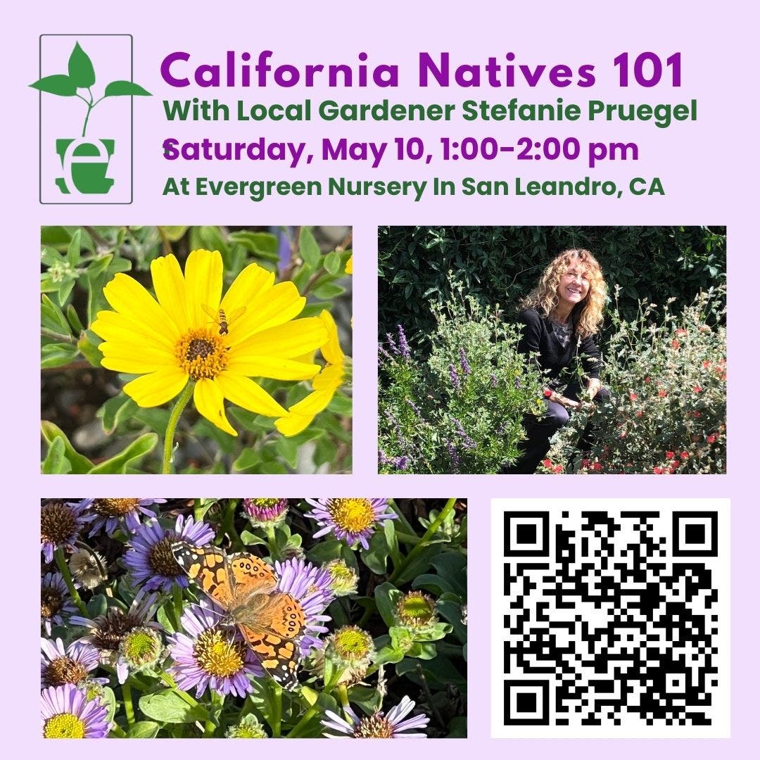 May 10 | California Native Plants 101: Get Started! | San Leandro, CA Patch