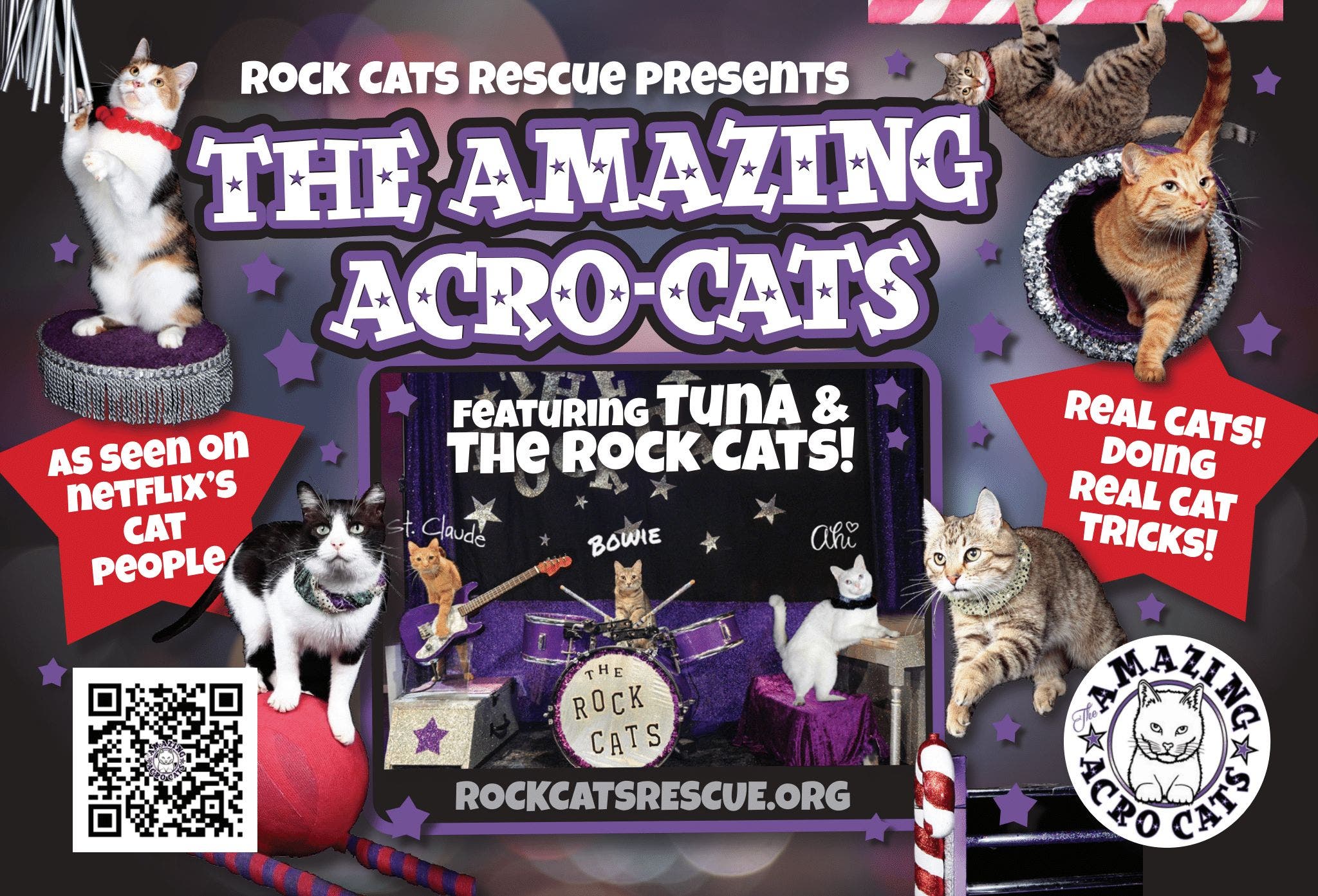 Jul 24 | The Amazing Acro-Cats: Having a ball in Baltimore | Baltimore ...