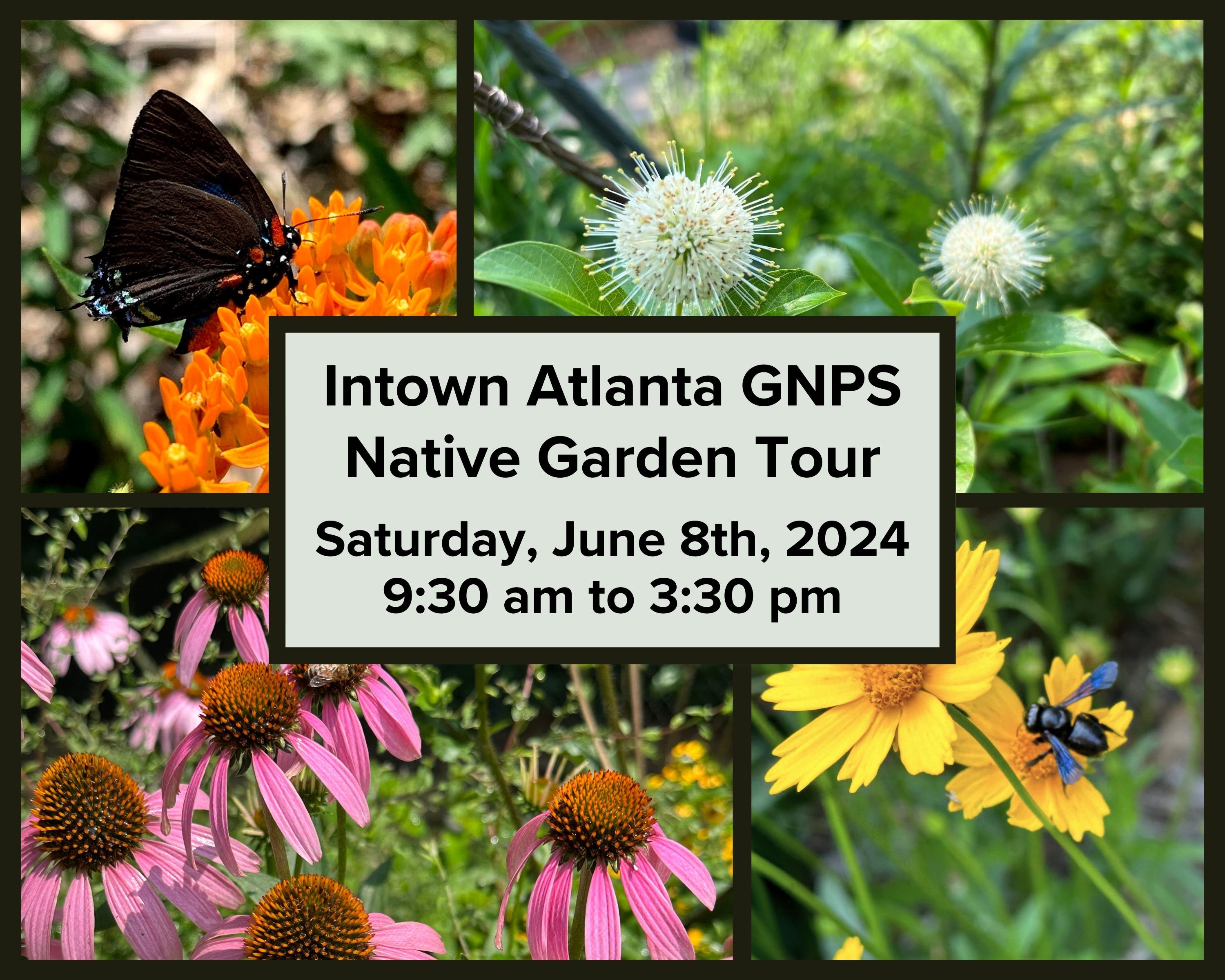 Jun 8 | Intown Atlanta GNPS Native Garden Tour | Atlanta, GA Patch