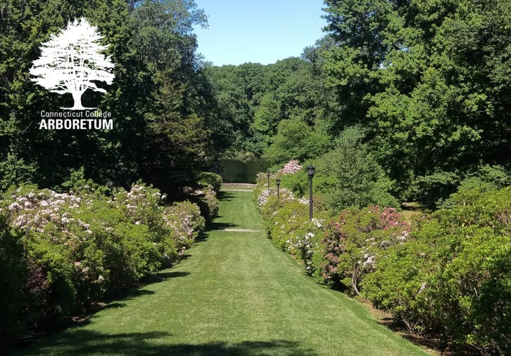 Jun 20 | Connecticut College Arboretum Open House | New London, CT Patch