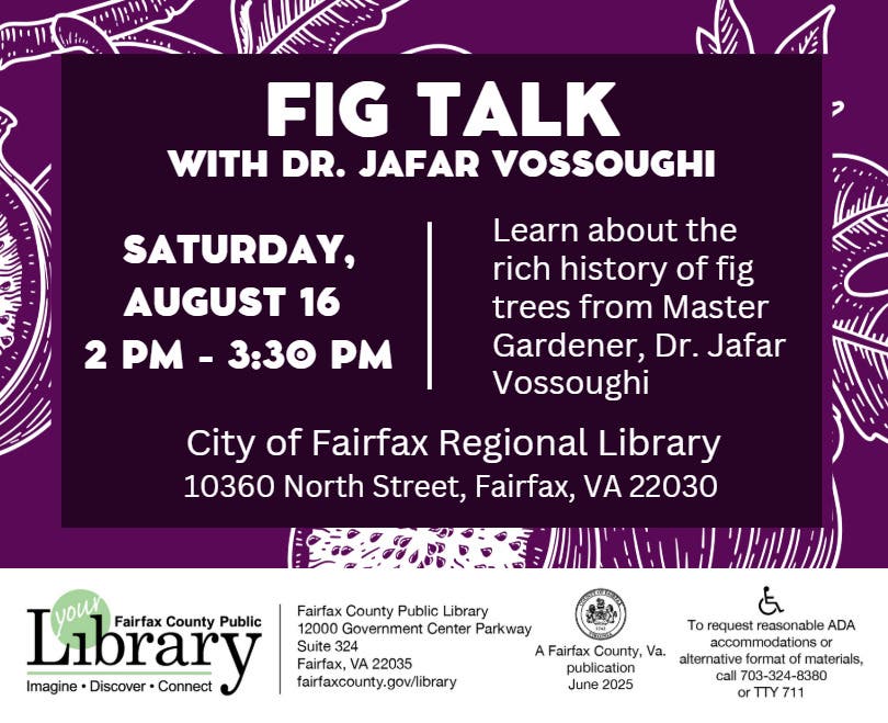 Aug 16 | Fig Talk | Fairfax City, VA Patch