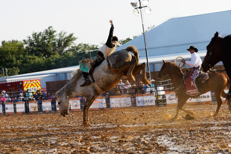 May 30 | Rodeo Celina at Southfork Ranch | Dallas, TX Patch