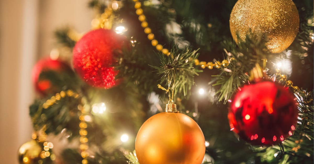 Dec 5 | Christmas Tree Lighting | Wayne, NJ Patch