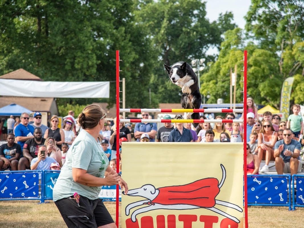 Monmouth County Fair Guide 2025: What To Know | Freehold, NJ Patch