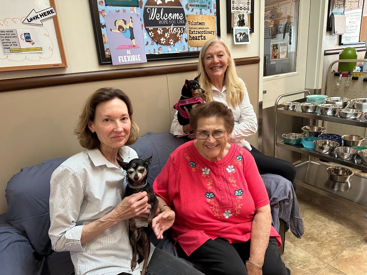 Upper Freehold Senior Dog Sanctuary Gets $175K Grant | Freehold, NJ Patch