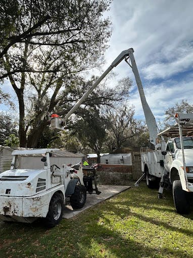 Lyons Family Tree Care Expands Service Areas to Include More ...