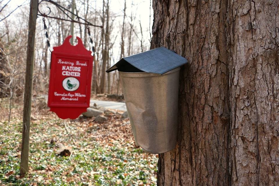 Mar 15 | Maple Sugaring in your Own Backyard | Canton, CT Patch