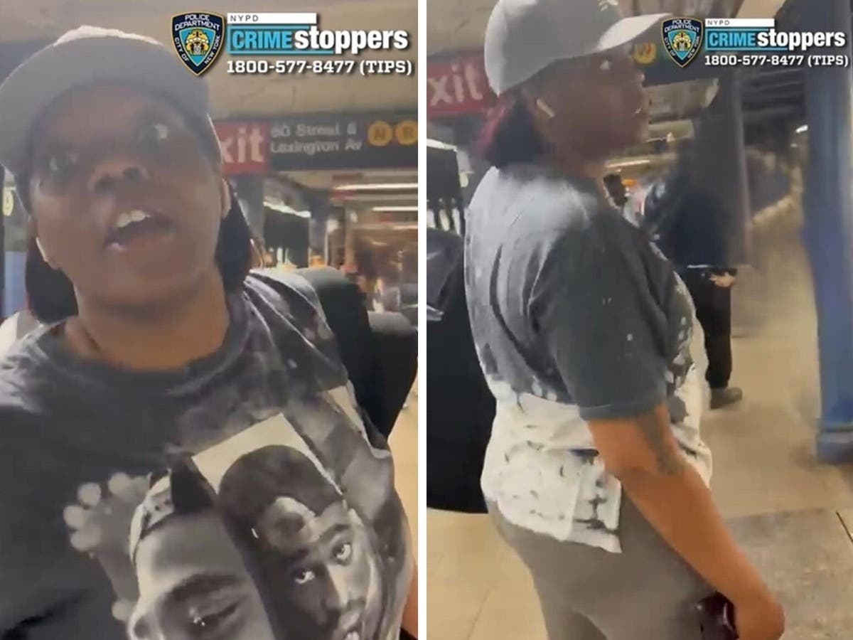 Woman Attacked In UES Subway Station, Police Say | Upper East Side, NY ...