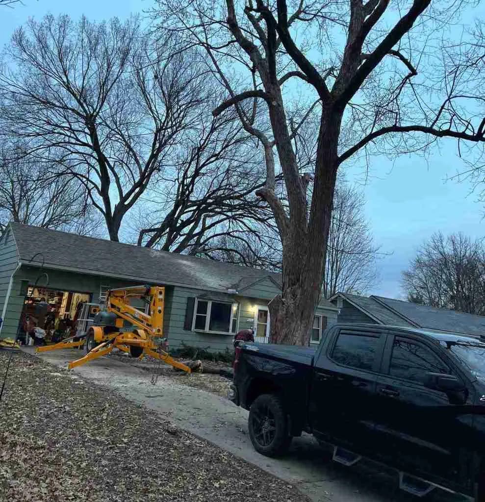 Why Professional Tree Service is Essential for Olathe, KS Homeowners ...