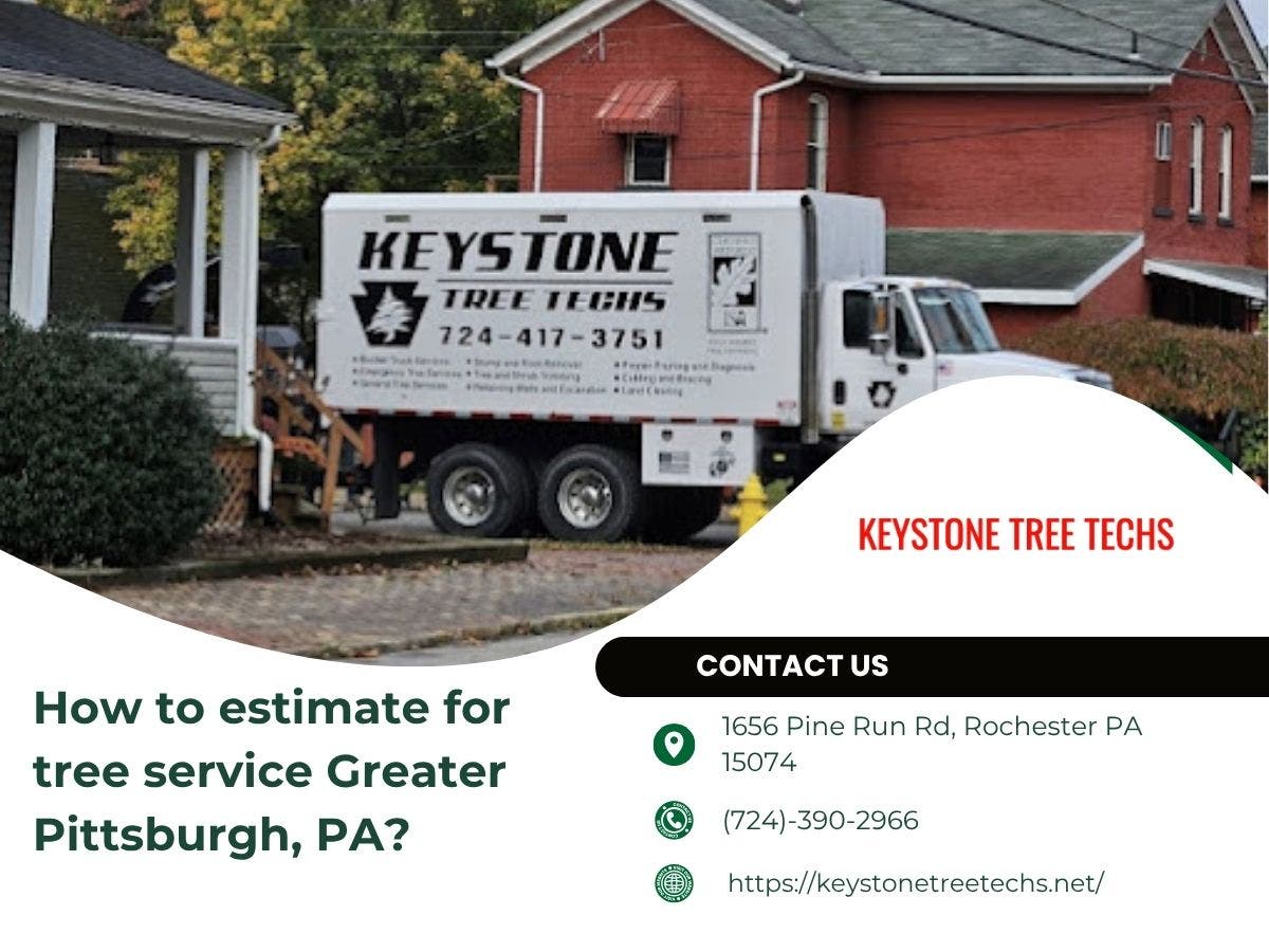 How to Estimate for Tree Service in Greater Pittsburgh, PA - Palmer, PA ...