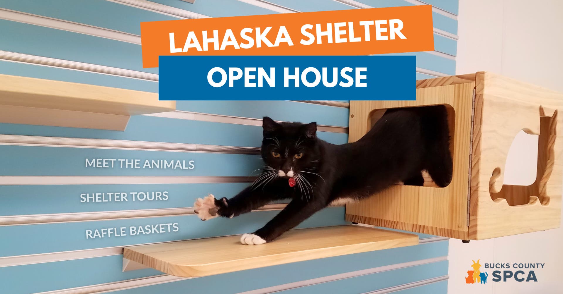 May 10 | Bucks County SPCA Lahaska Shelter Open House | Doylestown, PA ...