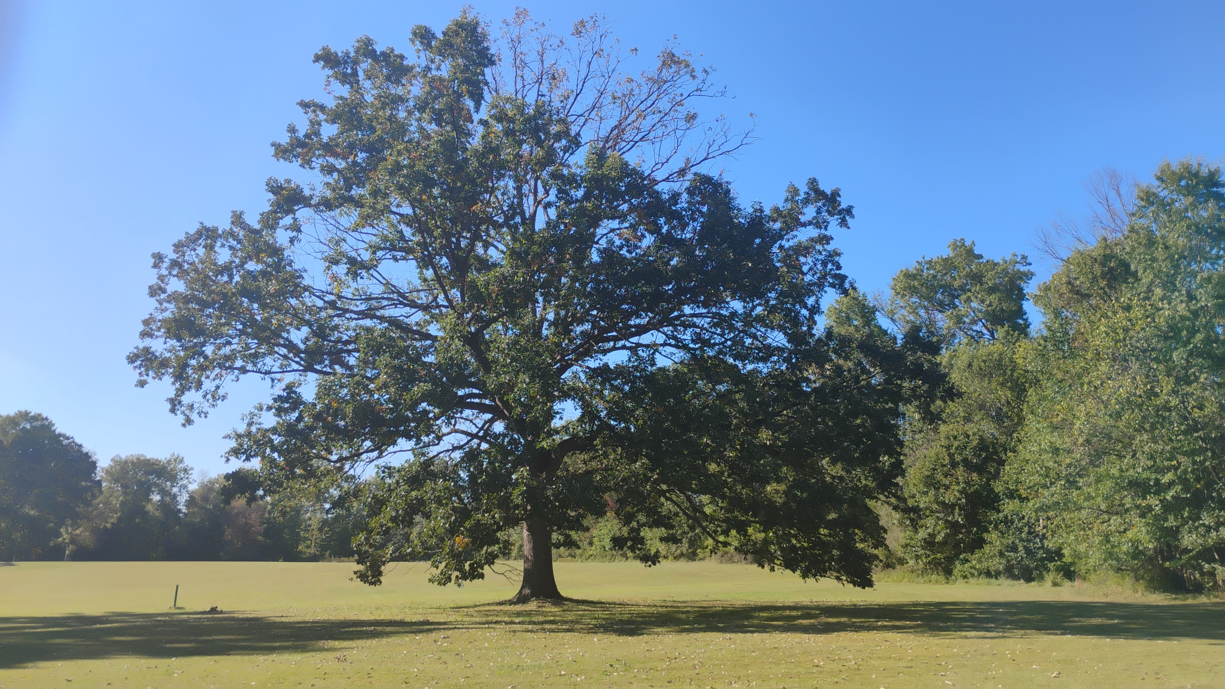 Oct 12 | Kingston Greenways Association Fall Foliage Walk | South ...