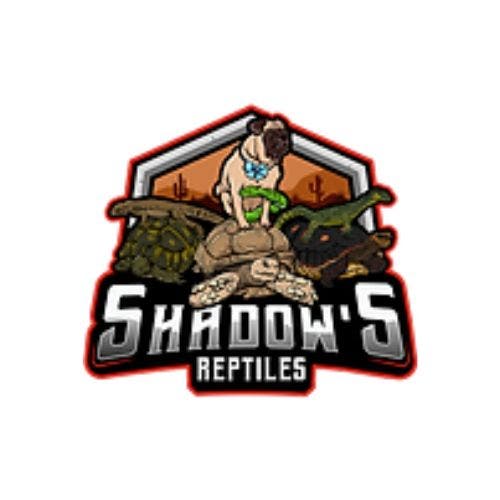 Shadow's Reptiles - Miami, FL Patch