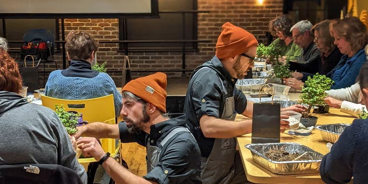 Dec 10 | Bonsai Workshop at WeHa Brewing & Roasting Co. | Manchester ...
