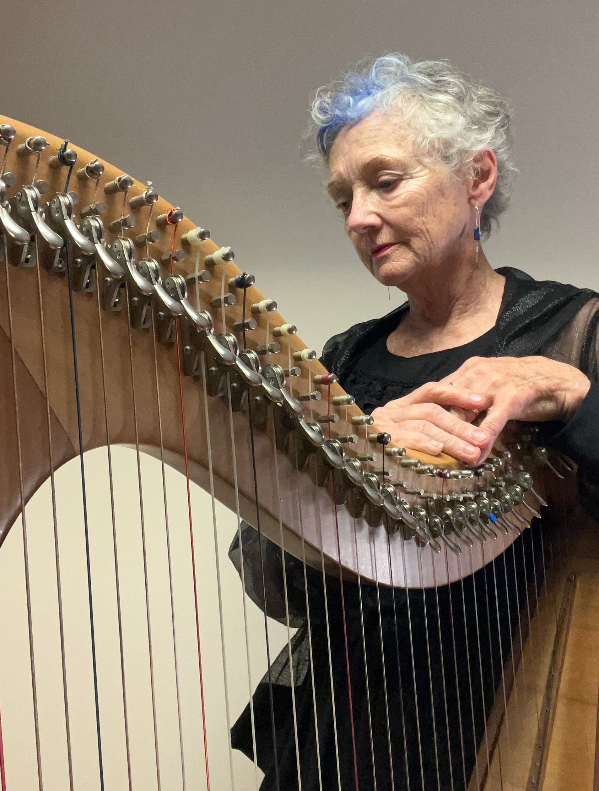Mar 28 | Irish Harp Concert: In Commemoration of the Voyage of Mercy ...