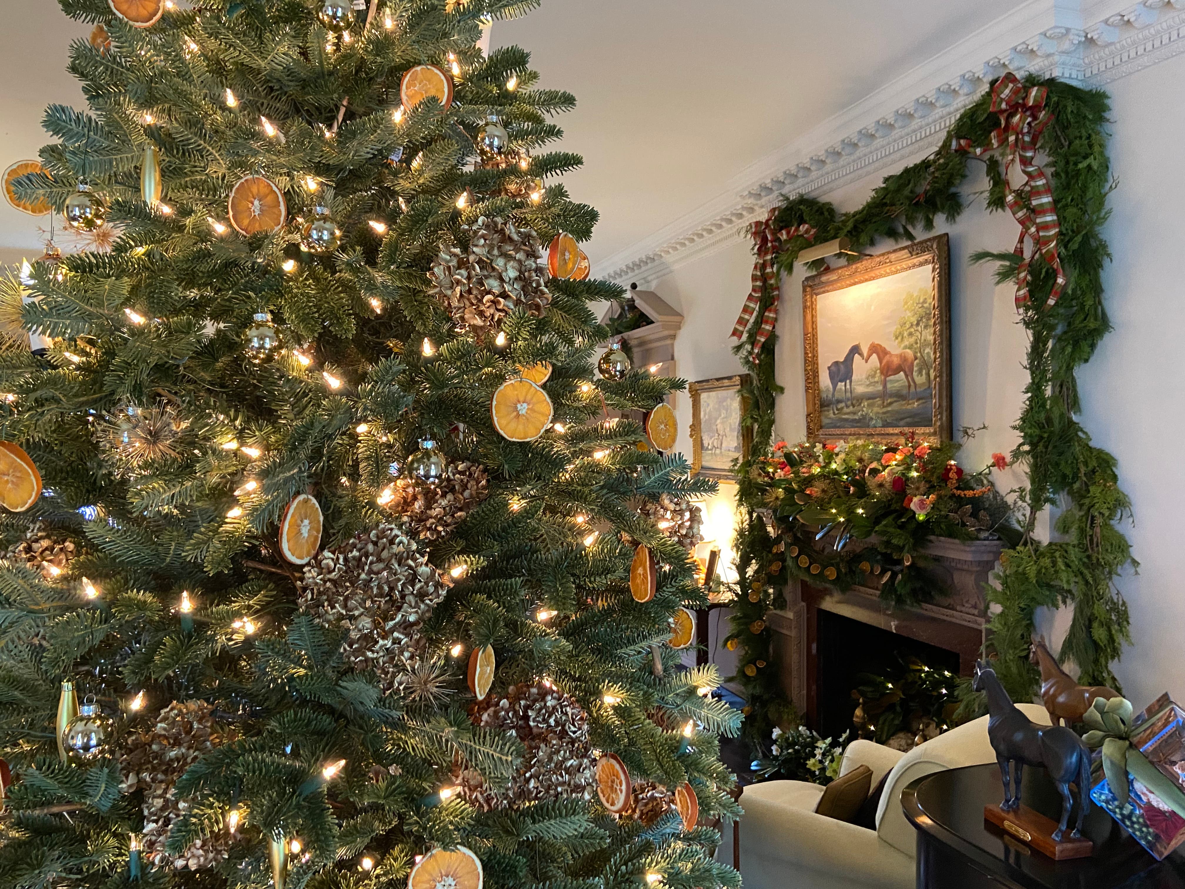 Dec 10 | Lights, Music, and Holiday Cheer Return to ‘A Ladew Christmas ...