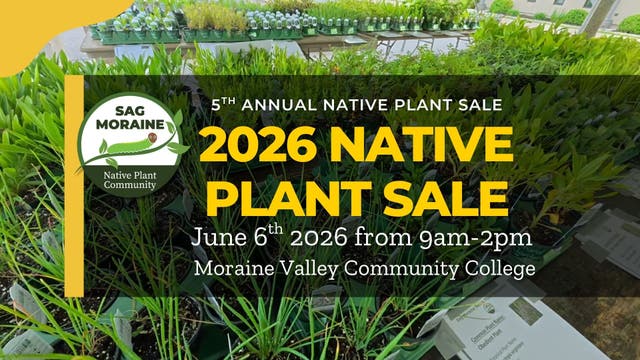 Jun 6 | Sag Moraine Native Plant Sale | Frankfort, IL Patch