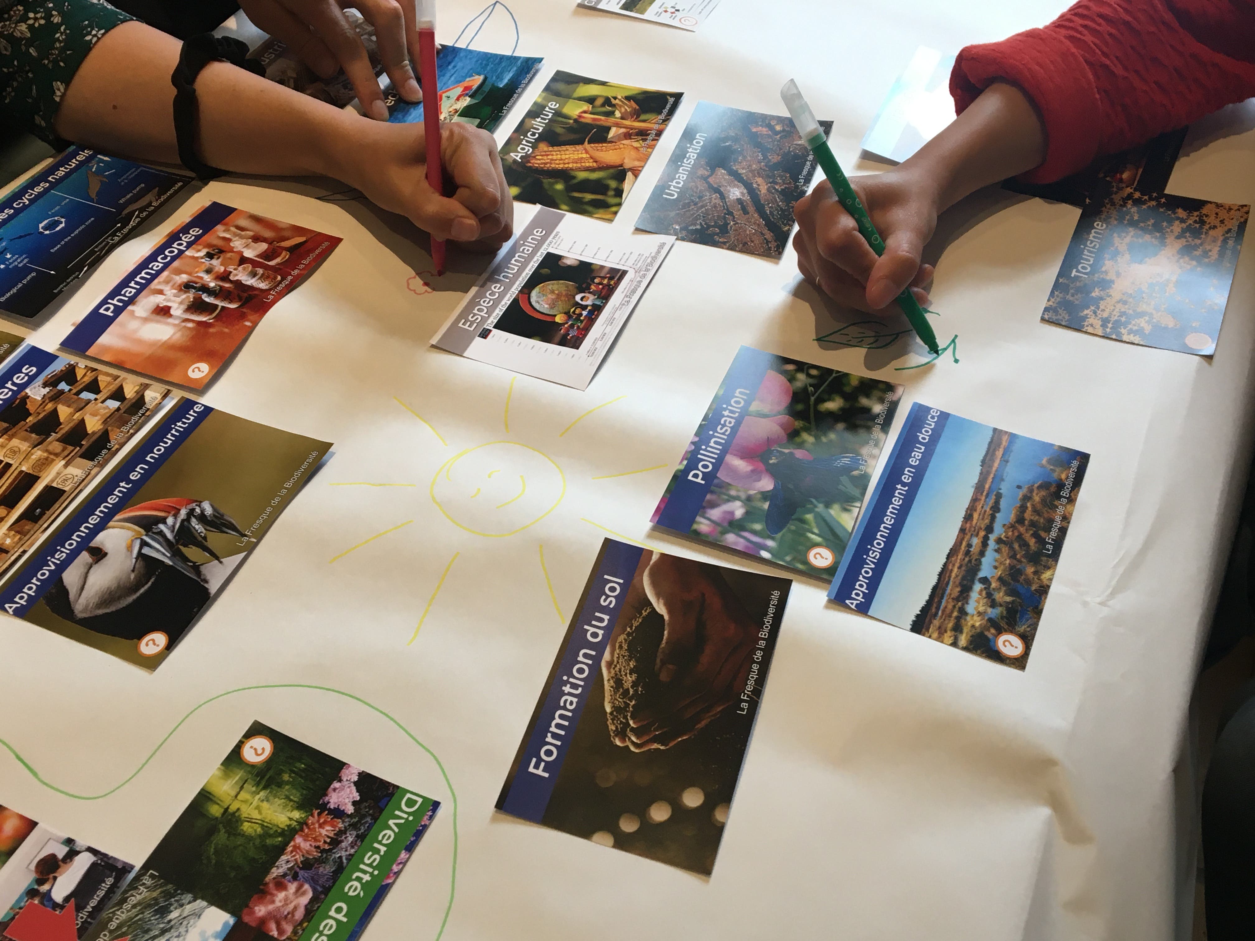 Mar 29 | Biodiversity Collage Workshop | Dover, NH Patch