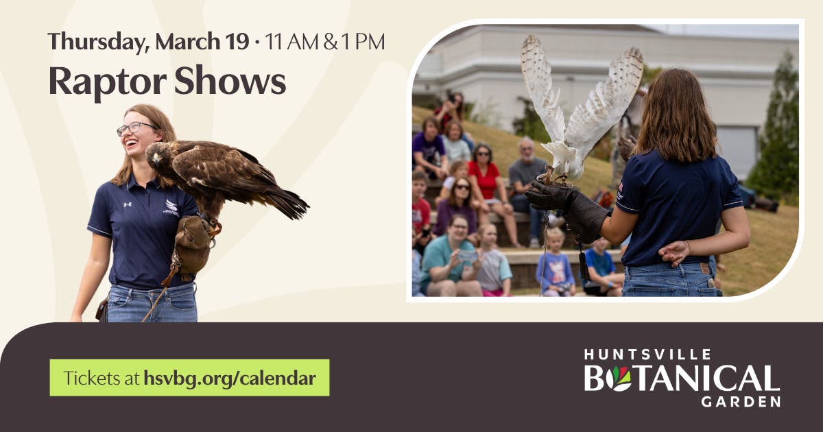 Mar 19 | Raptor Shows | Huntsville, AL Patch