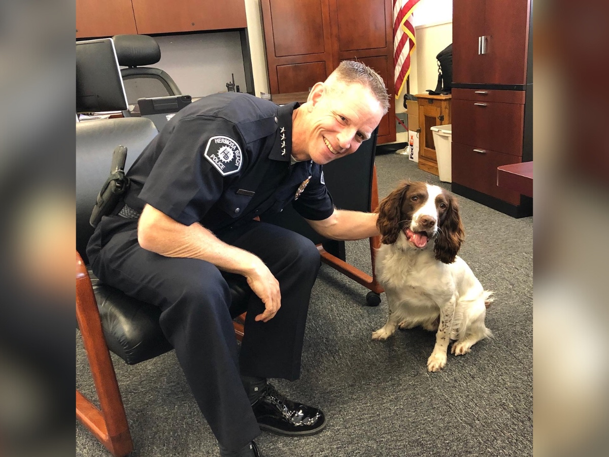 'I've Led With Love': Hermosa Beach Police Chief Retires | Hermosa ...