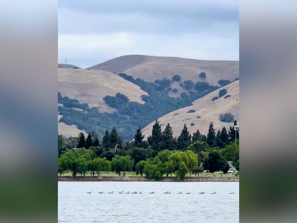 Welcoming Summer: Photo Of The Day | Fremont, CA Patch