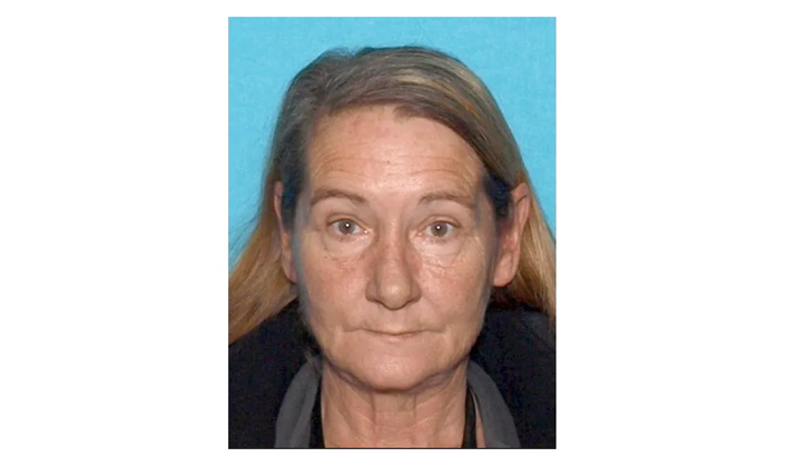 66-Year-Old Woman Reported Missing In SMC: CHP | San Mateo, CA Patch