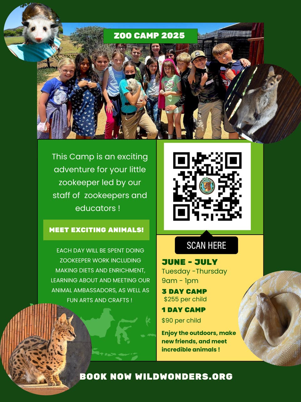 Jul 15 | Wild Wonders Zoo Camp – An Unforgettable Adventure!! | Bonsall ...
