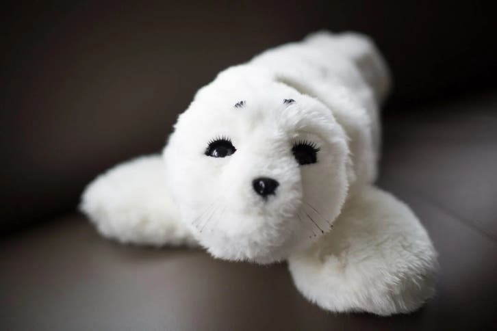 Nov 17 | Meet PARO, the World’s Most Therapeutic Robot | Oak Park, IL Patch