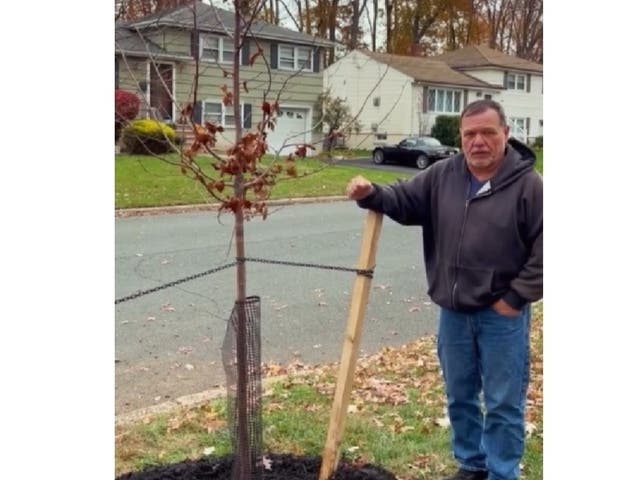85 New Trees Being Planted Throughout Cranford | Cranford, NJ Patch