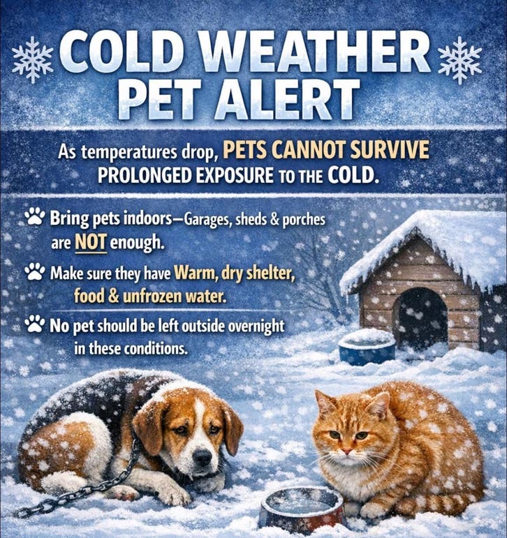 Summit Prepares For Major Winter Storm: Latest Forecast, Cancellations ...