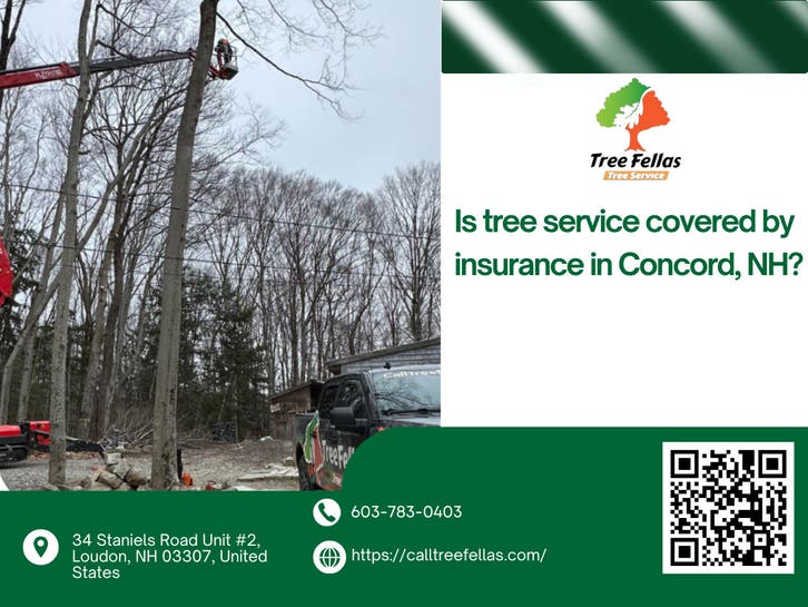 Is tree service covered by insurance in Concord, NH? - Concord, NH Patch