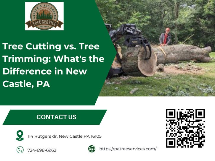 Tree Cutting vs. Tree Trimming: What's the Difference in New Castle, PA ...
