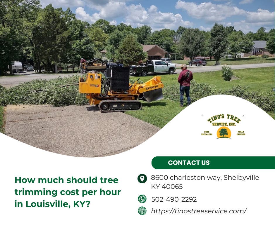 How Much Should Tree Trimming Cost Per Hour in Louisville, KY ...