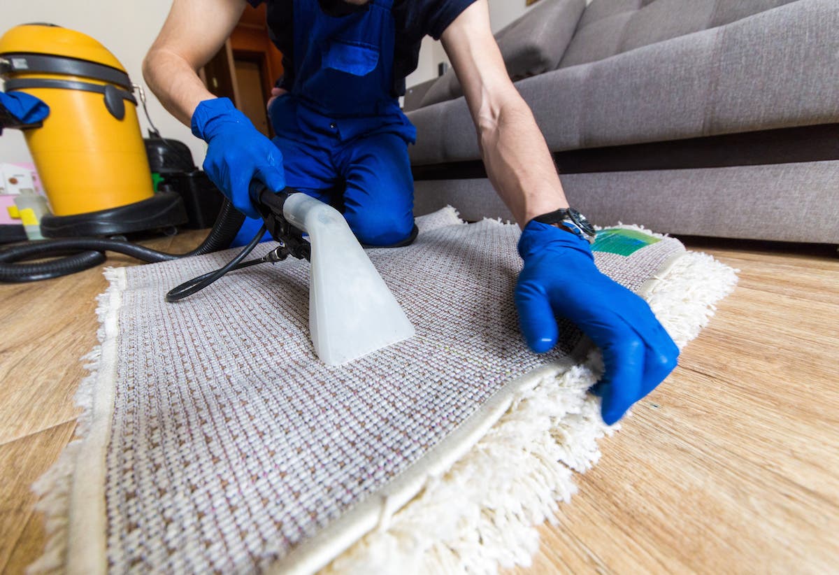 Eco-Friendly Carpet Cleaning Solutions in Manhattan, NY: What Residents ...