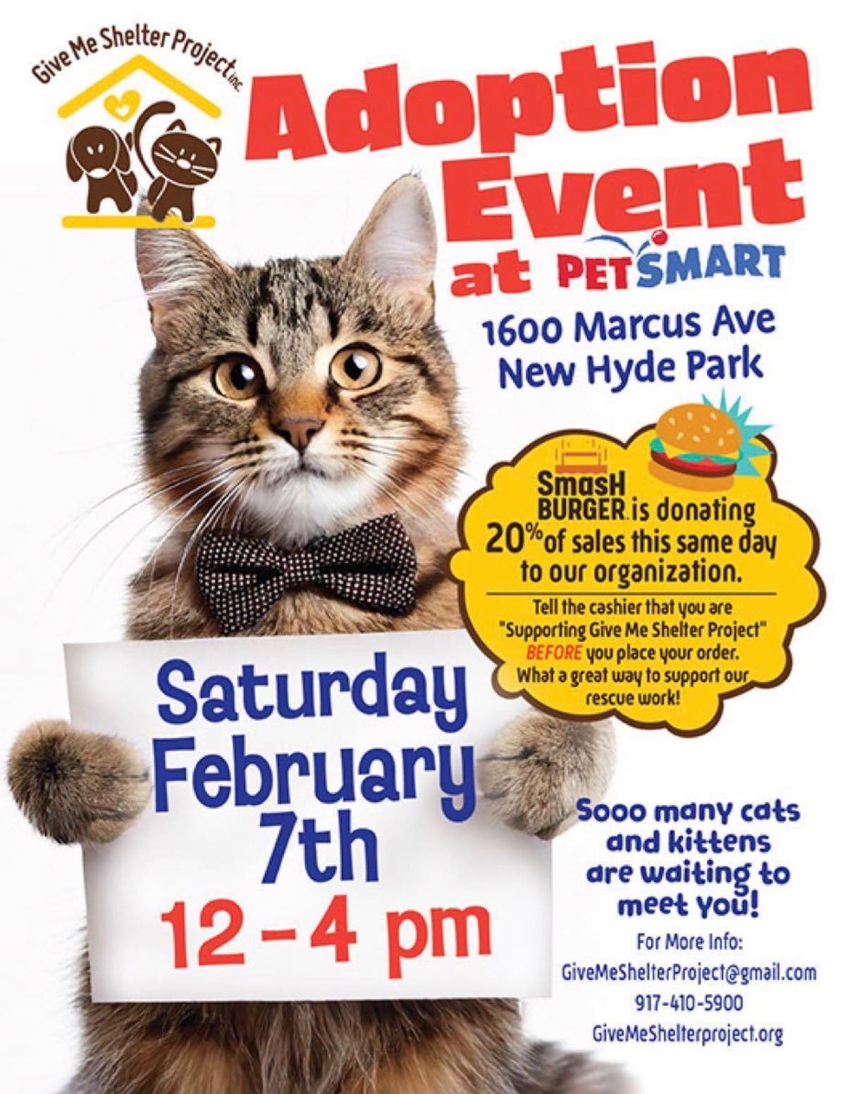 Feb 7 | Cat Adoption Event | New Hyde Park, NY Patch