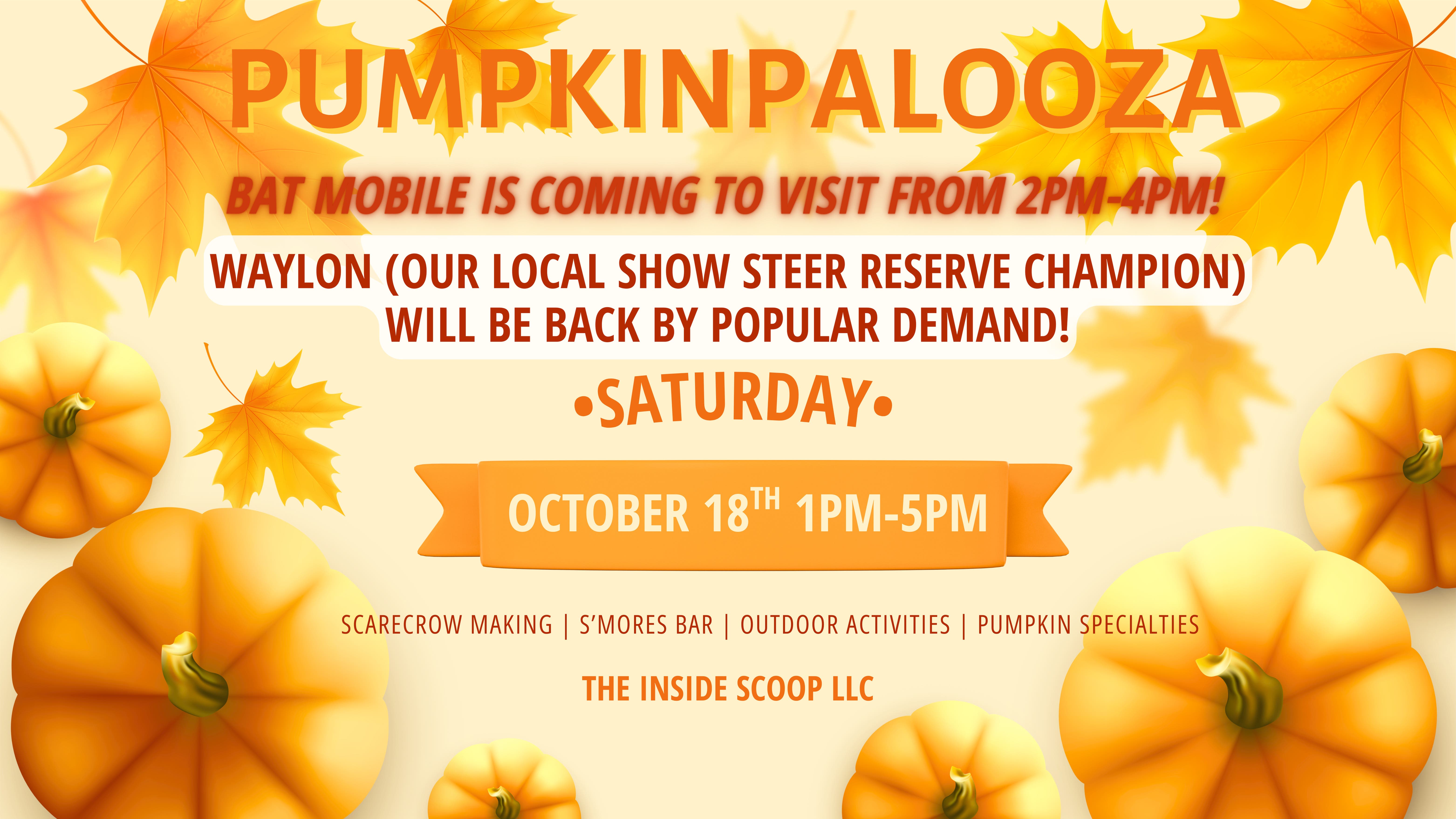 Oct 18 | Pumpkinpalooza | Rising Sun, MD Patch