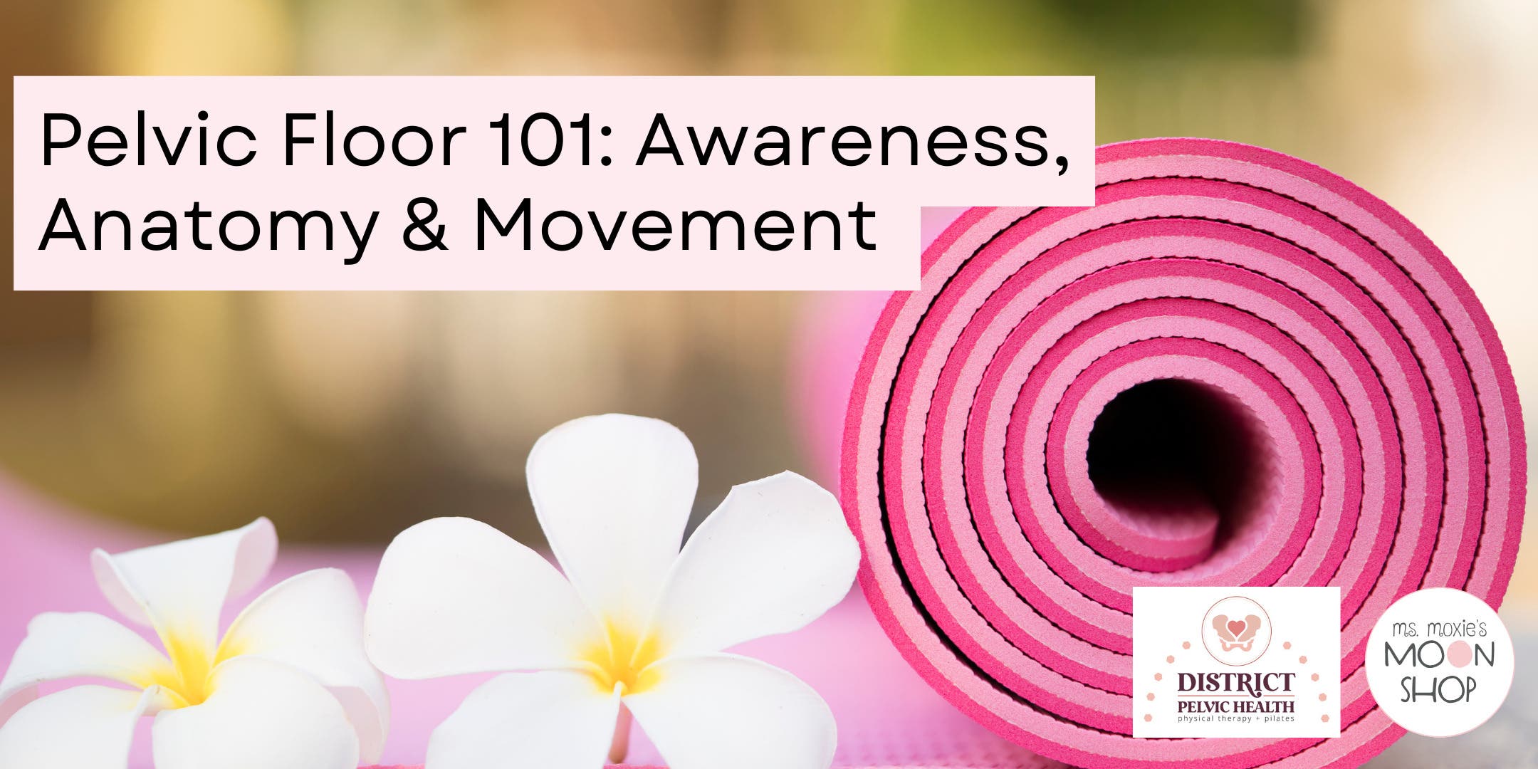 Oct 20 | Pelvic Floor 101: Awareness, Anatomy & Movement | Old Town ...