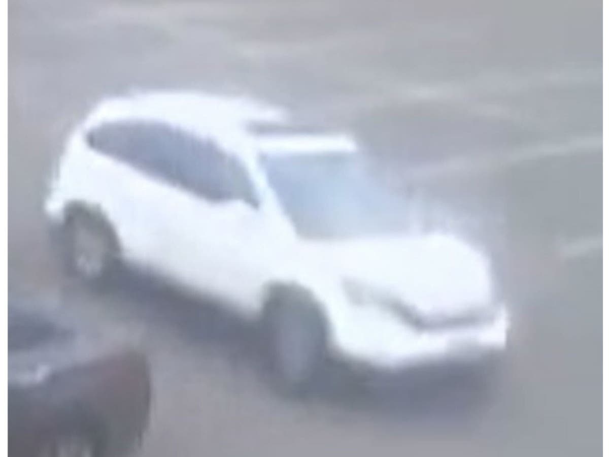 Group Accused Of Stealing Cosmetics From Kings Park CVS: Police ...