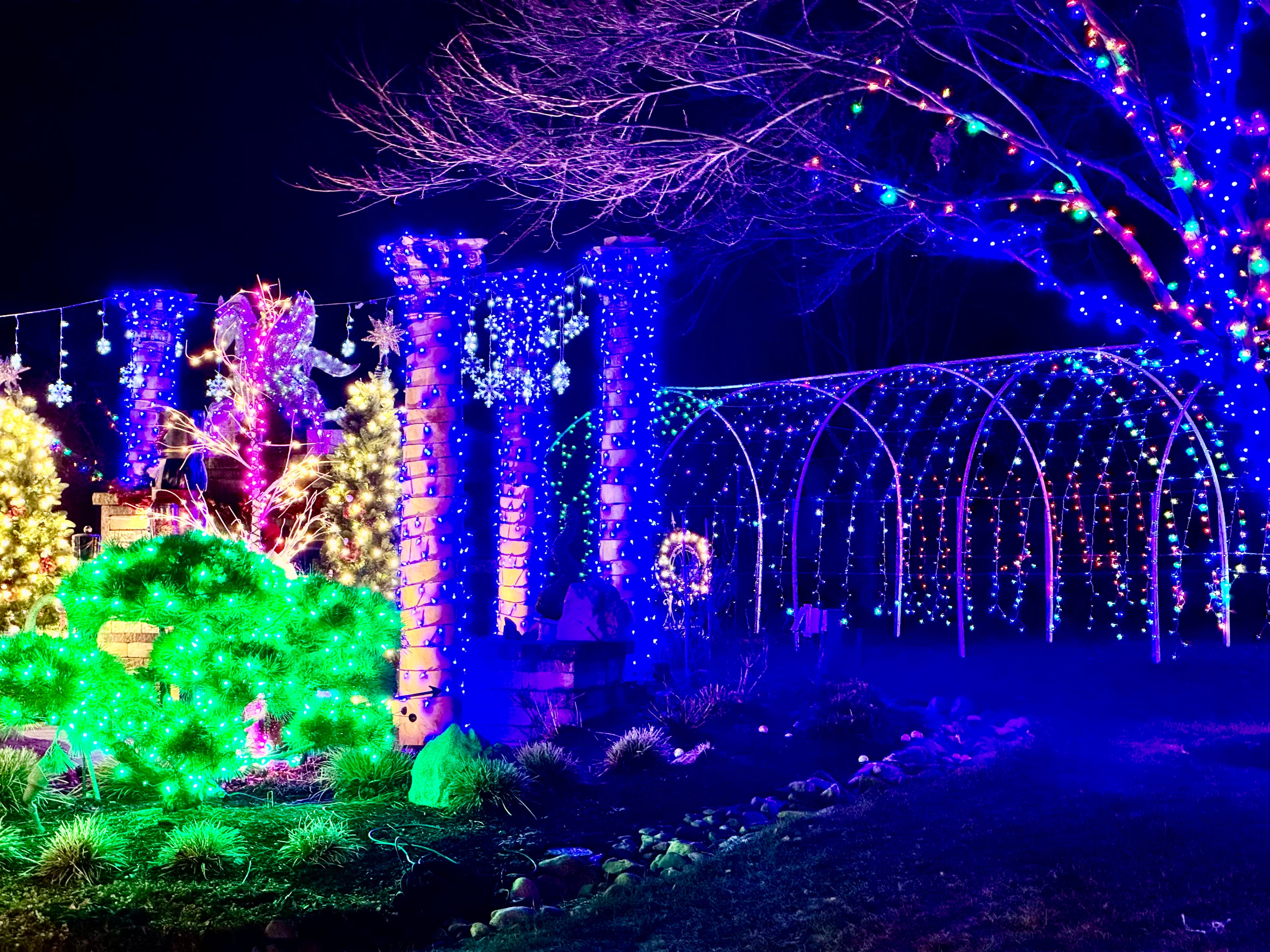 Dec 14 | Garden of Lights | Columbia, MD Patch