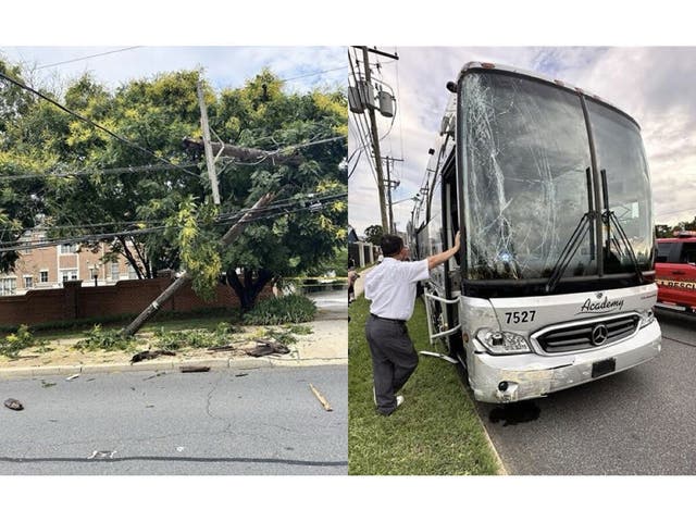 'Runaway' Bus Crash Hospitalizes 1, Causes Major Damages In Bethesda ...