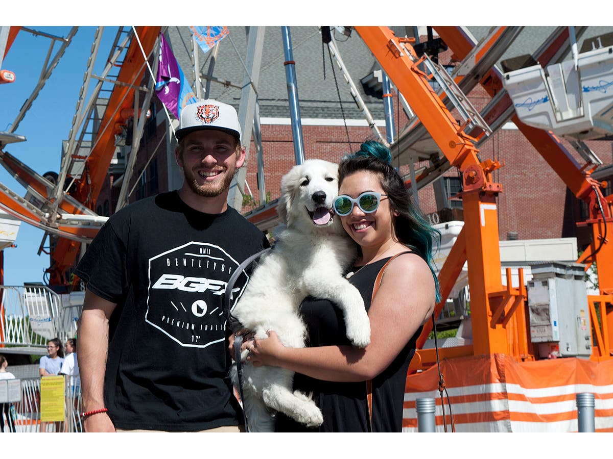 Birmingham Village Fair June 1-4 | Birmingham, MI Patch