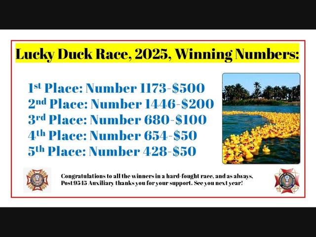 19th Annual Gene Hickmott Lucky Duck Race Winning Ducks | New Lenox, IL ...