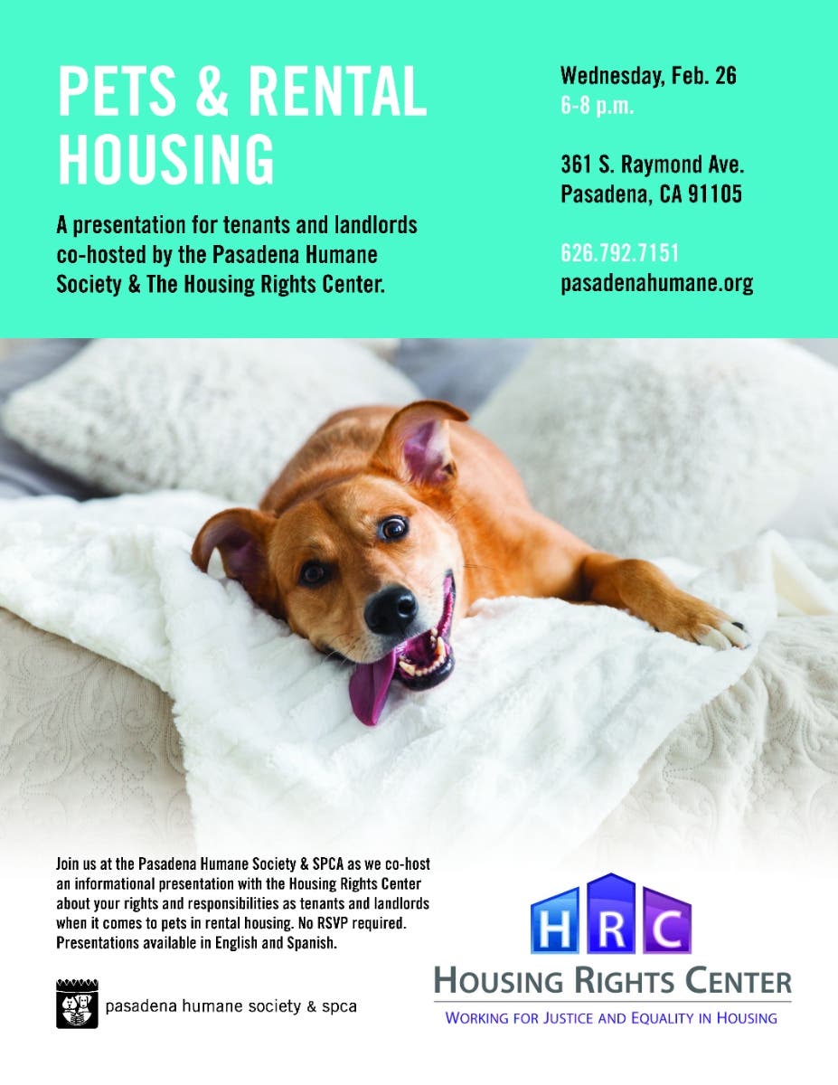 Feb 26 Pets Rental Housing Los Angeles CA Patch Feb 26 Pets Rental Housing Los Angeles CA Patch