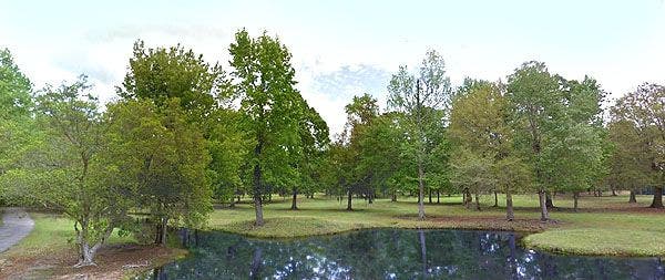 Crowfield Plantation in Goose Creek | Charleston, SC Patch