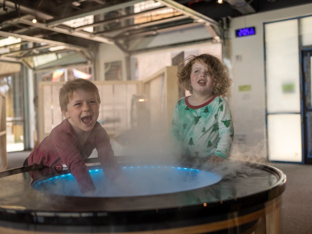 CuriOdyssey Science Playground & Zoo Announces Appointment of New Chief ...