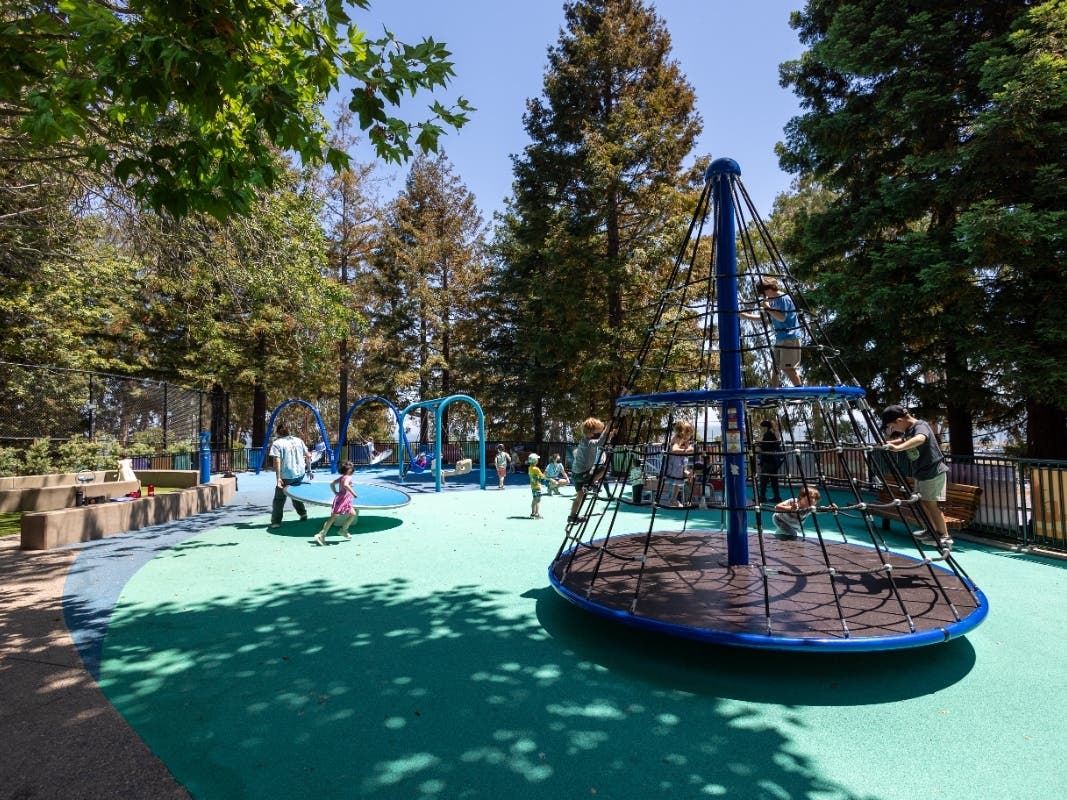 CuriOdyssey Science Playground & Zoo Announces Appointment of New Chief ...