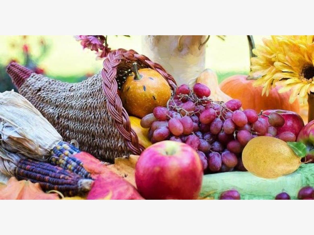 Annual Malden Public Library Food Drive | Malden, MA Patch