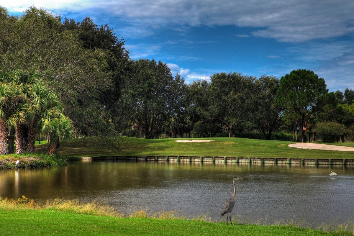Neal Communities introduces a new phase at Boca Royale Golf & Country ...