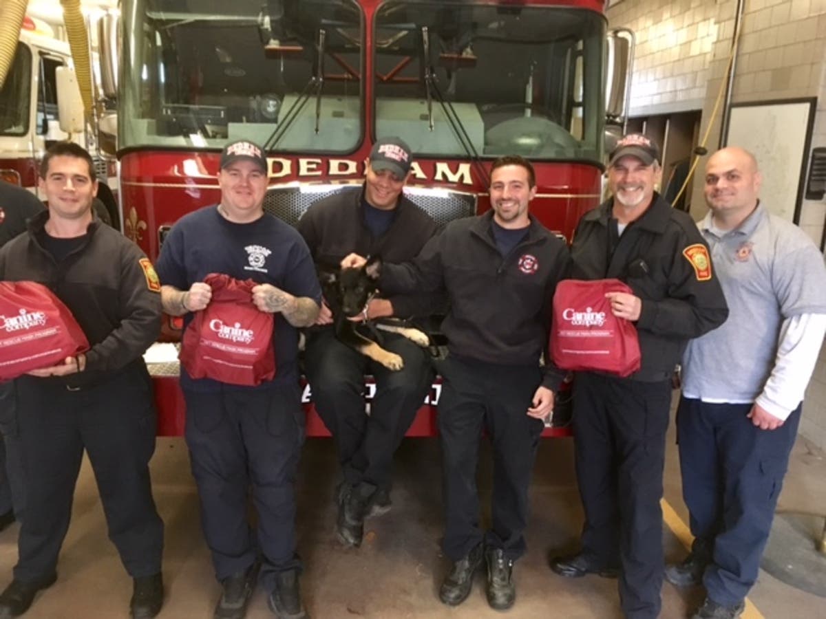 Dedham Fire Department Now Equipped with Oxygen Masks for Pets | Dedham ...